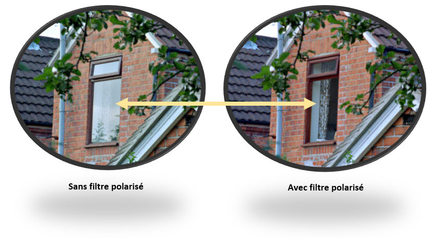 Polarized glasses: How do they work? – MSEI – MultiSciences Expertises Inc